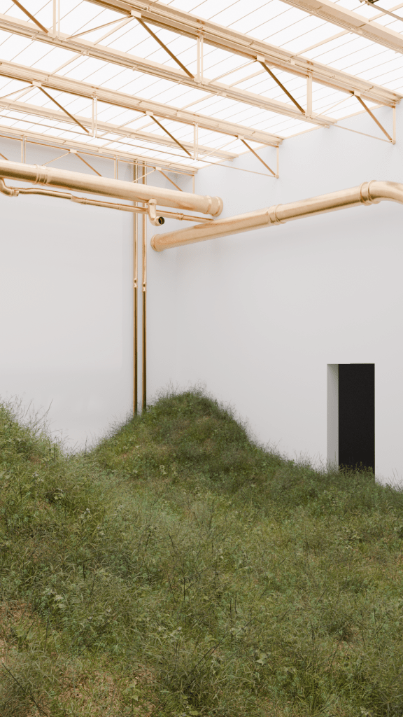 Liminal Interior Design – Pelvan Architects